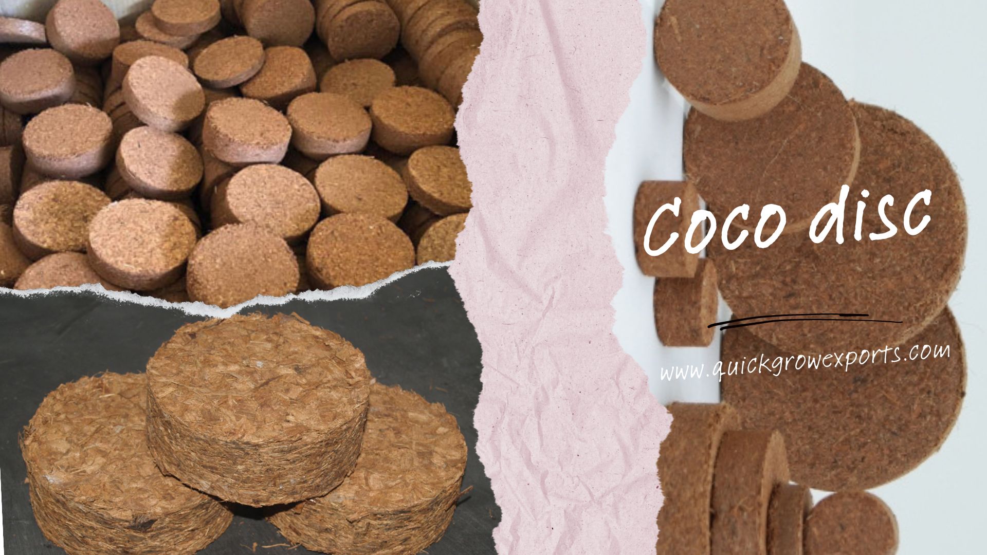 Coco disc is your solution for seed starting and gardening | Quick Grow ...