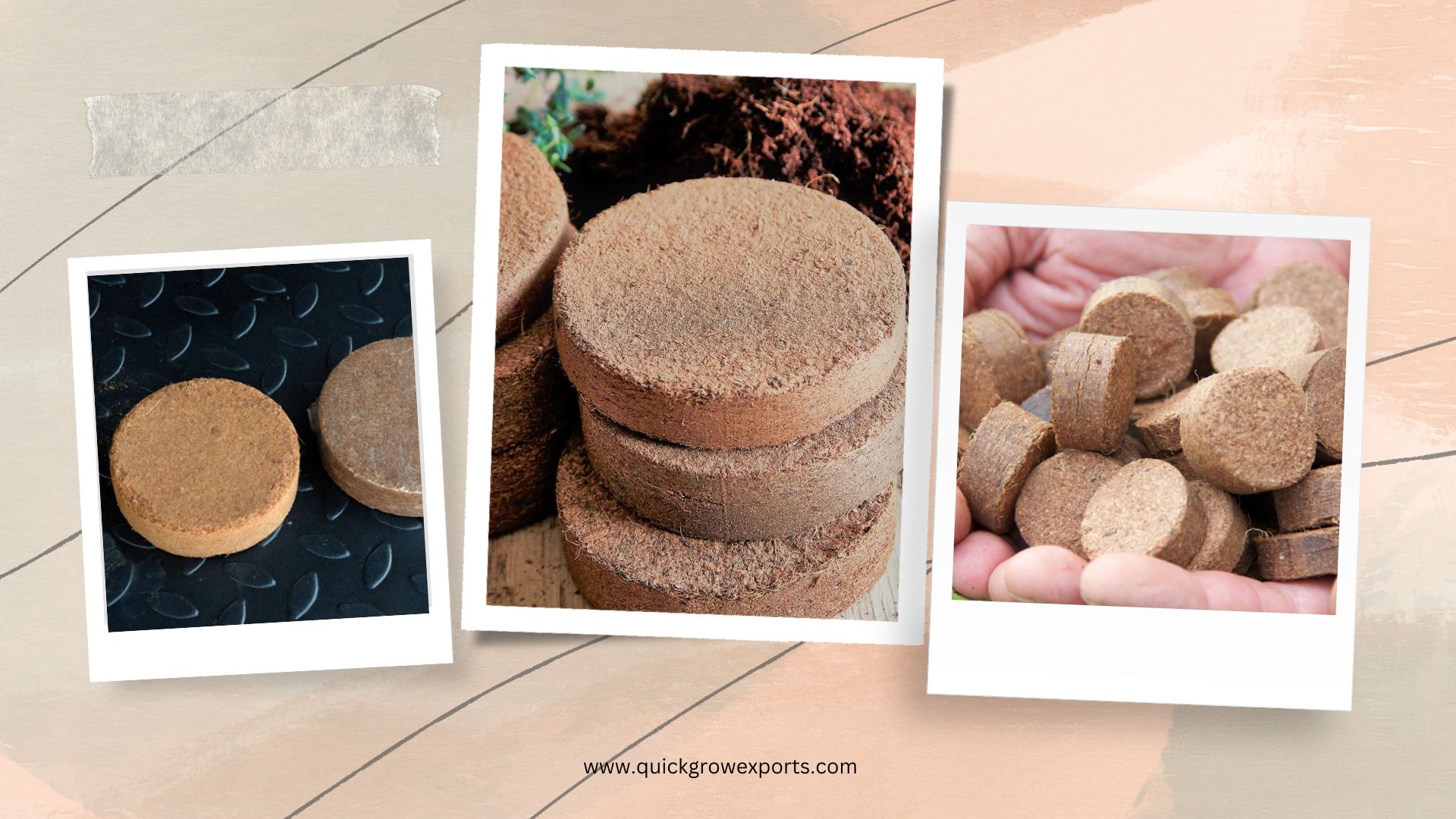 Coco Peat Disc | Eco-friendly Growing Media | Quick Grow Exports ...
