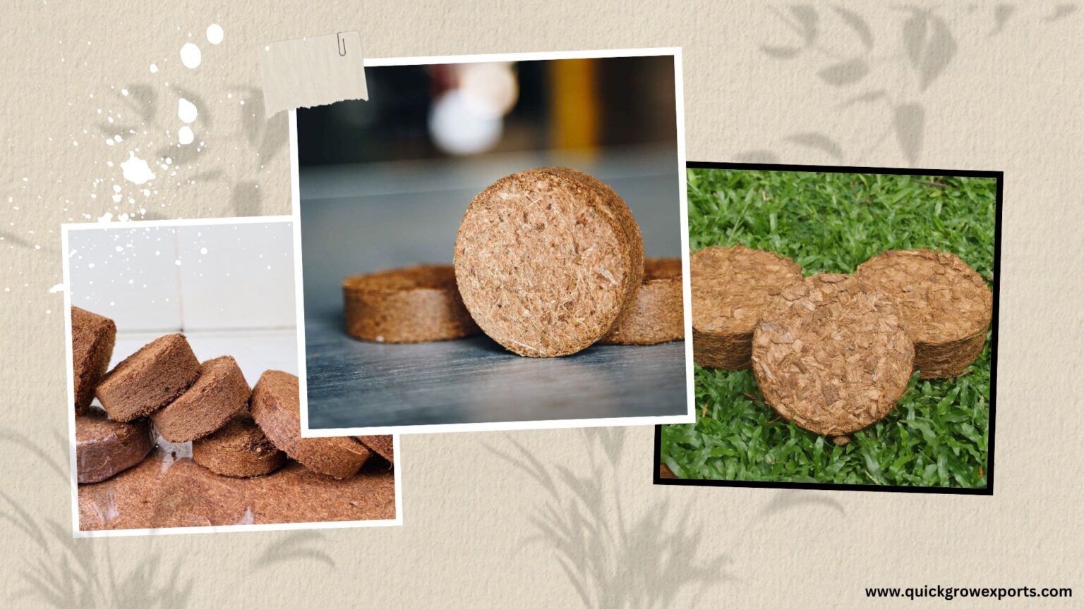 Coco Peat Disc | Eco-friendly Growing Media | Quick Grow Exports ...