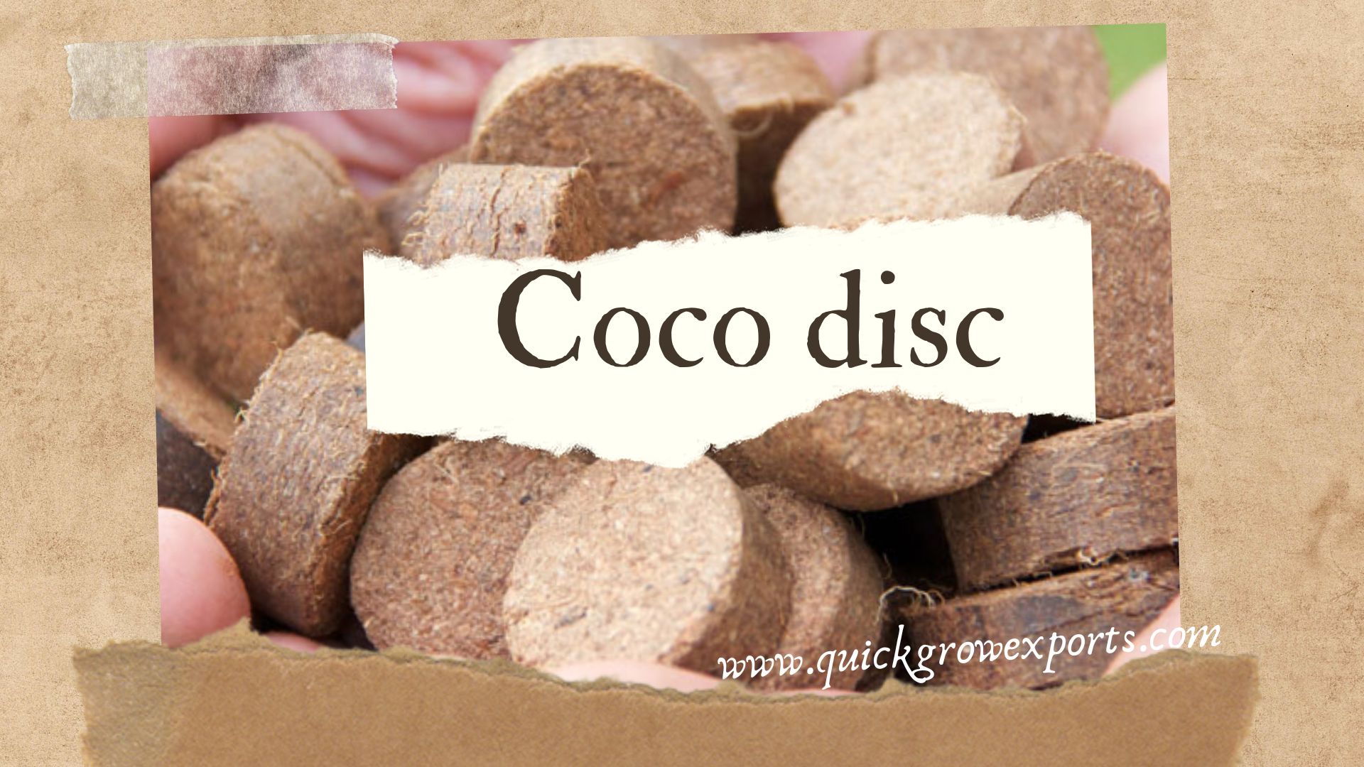 Coco disc is your solution for seed starting and gardening | Quick Grow Exports