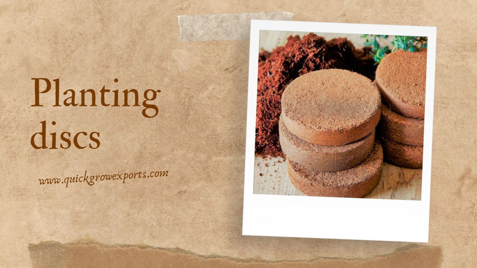 Planting Discs - An Eco-Friendly Product For Gardeners | Quick Grow Exports