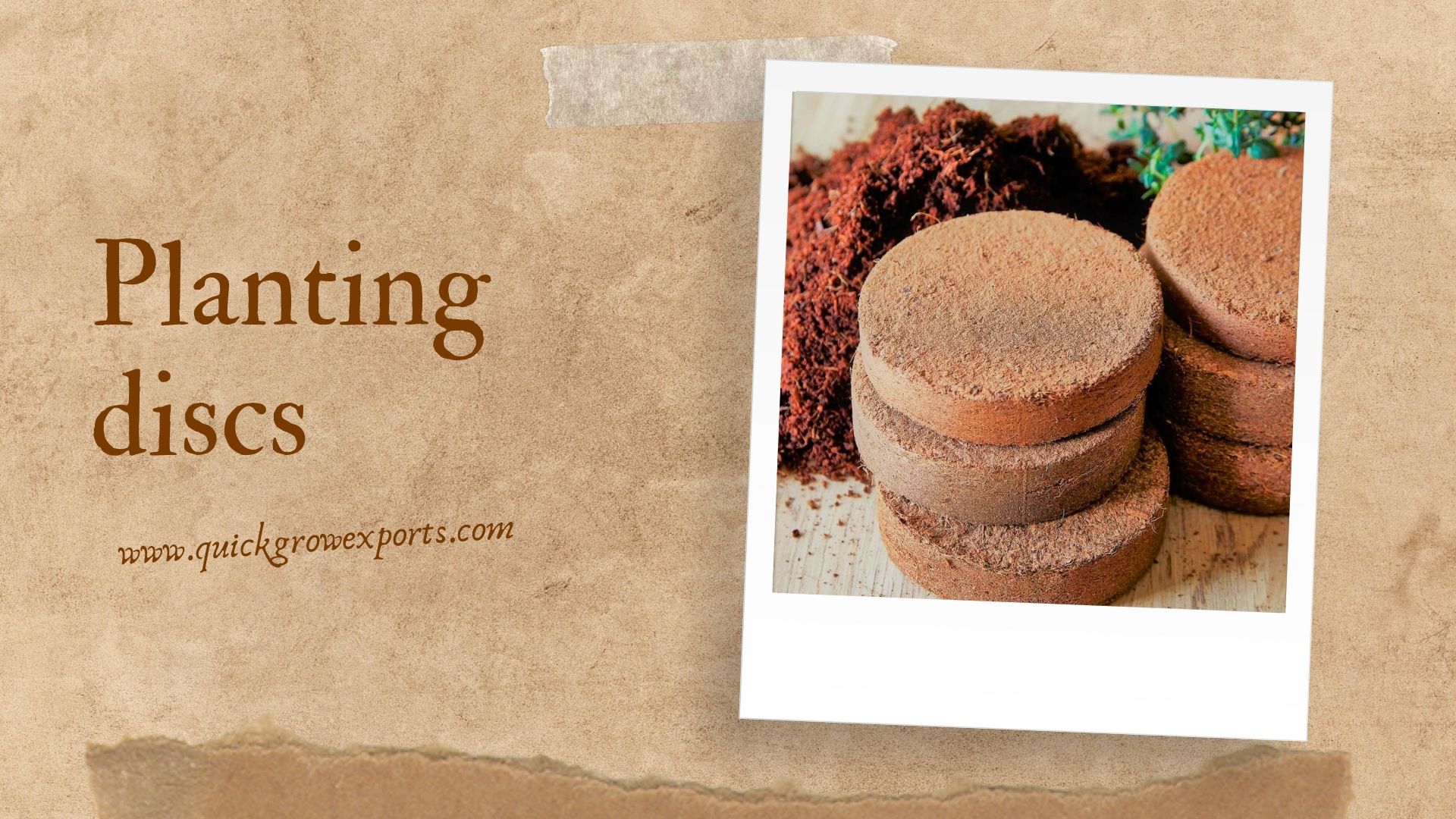Planting Discs - An Eco-Friendly Product For Gardeners | Quick Grow Exports